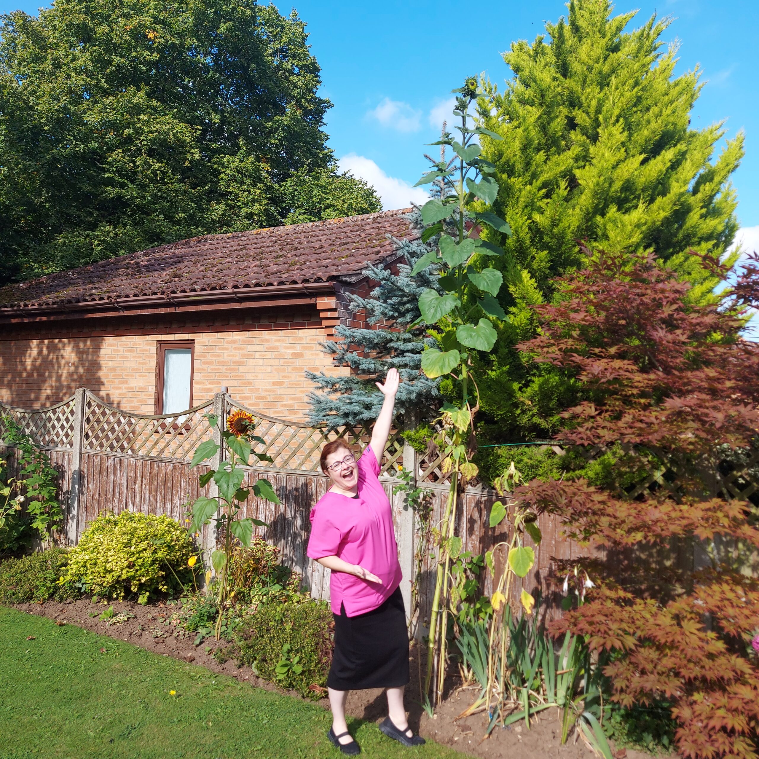 Tanglewood announced as winners of the 2023 Sunflower challenge ...